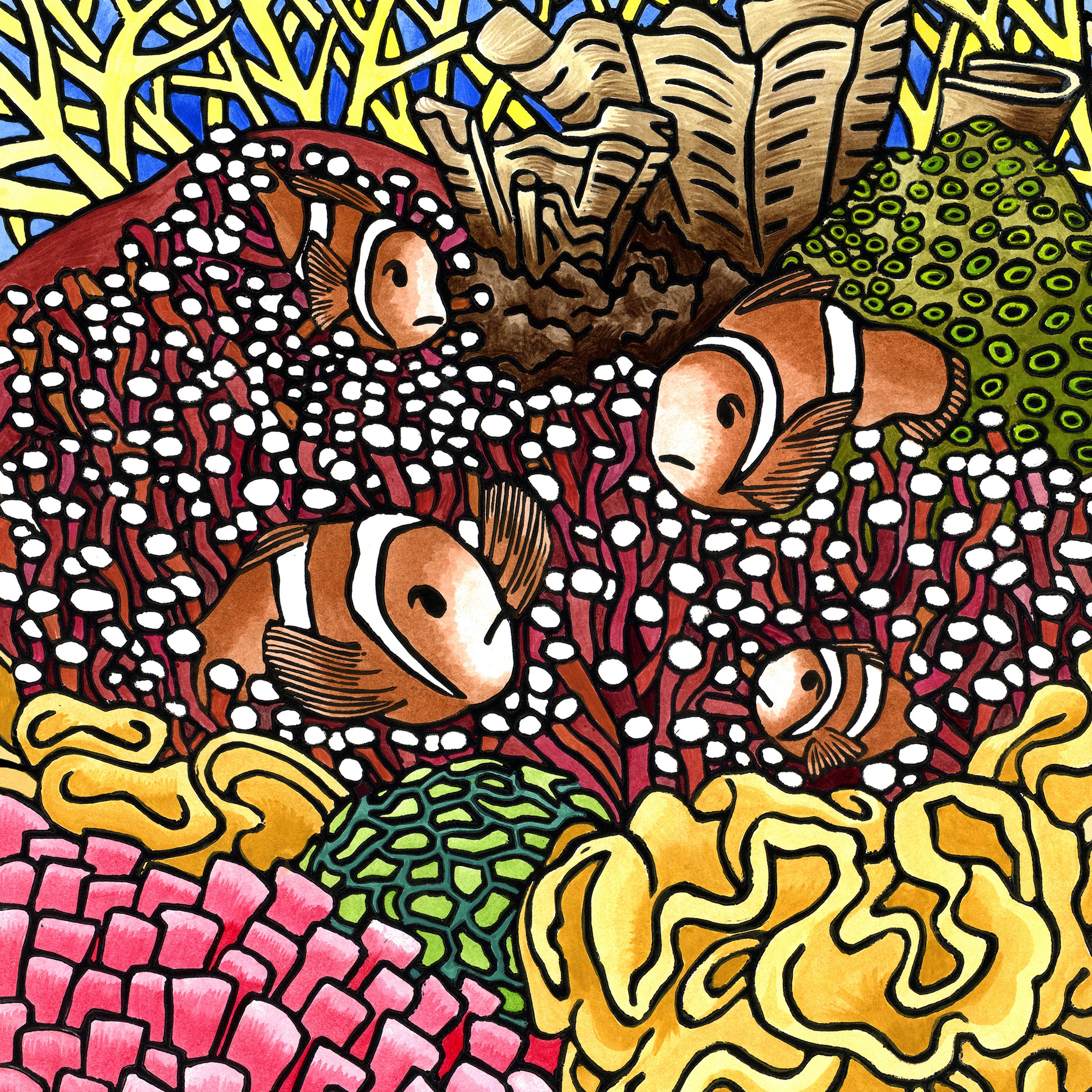 Clownfish (Square) - QPuzzles