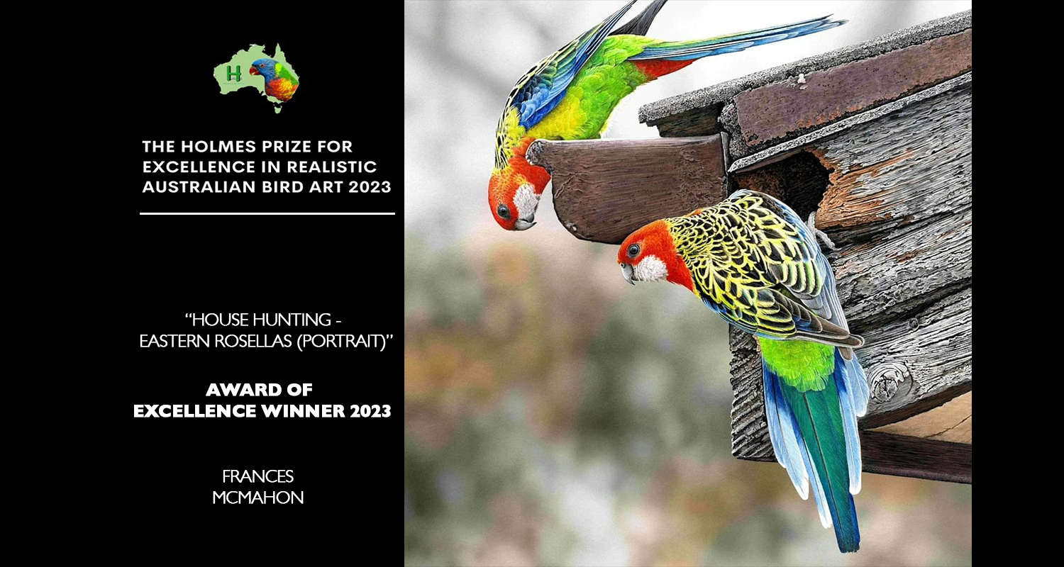 Celebrating Excellence in Art: Frances McMahon Wins Holmes Prize Award ...