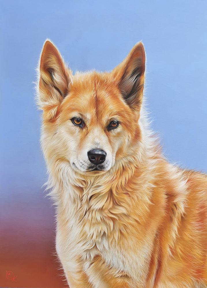 Australian Dingo (Portrait) - QPuzzles