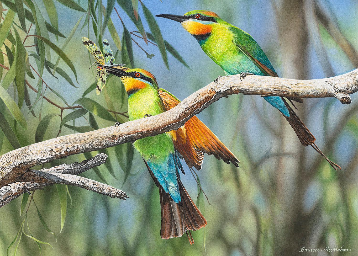 Catch Of The Day - Rainbow Bee-Eaters (Landscape) - QPuzzles