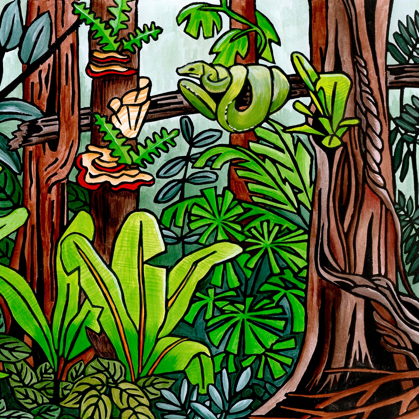 Python (Square) - QPuzzles