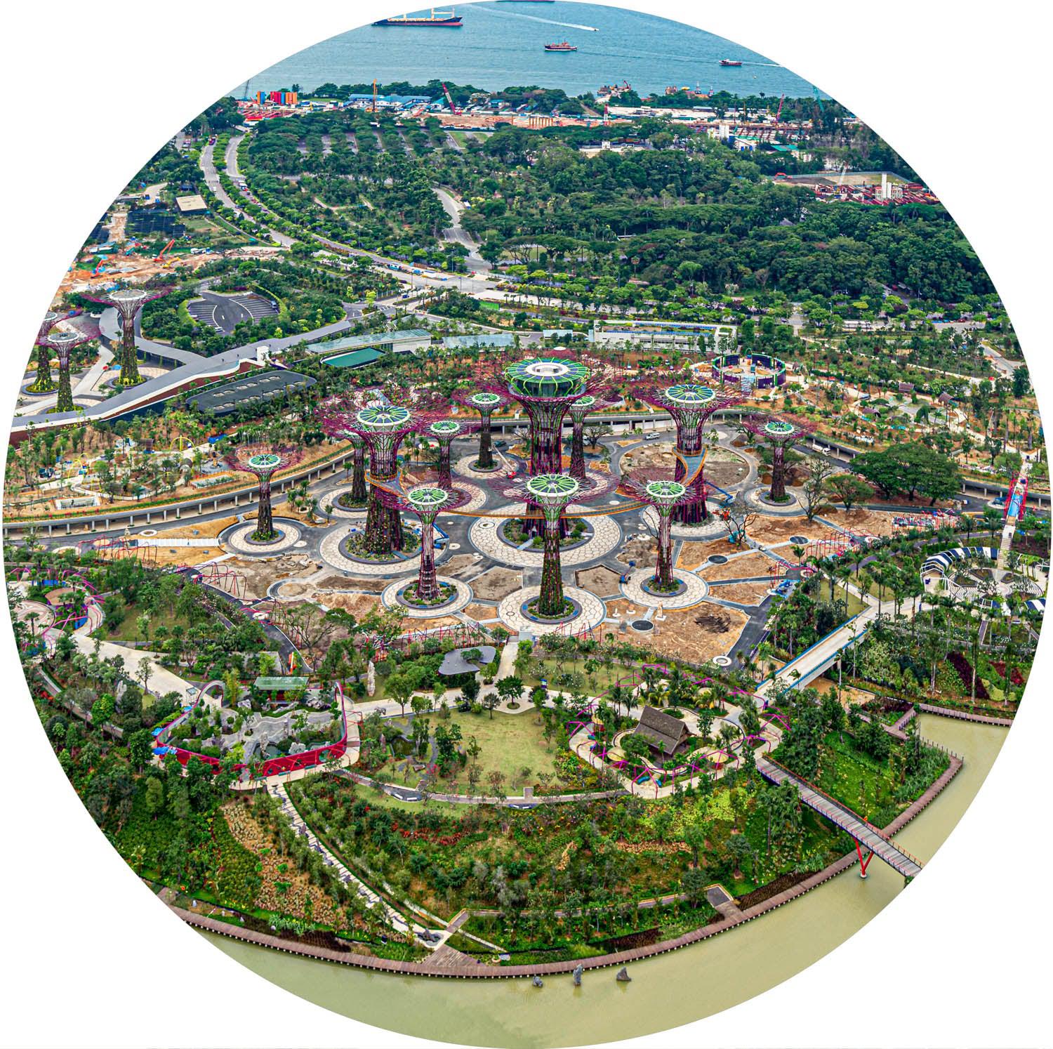 Supertree Grove (Round) - QPuzzles