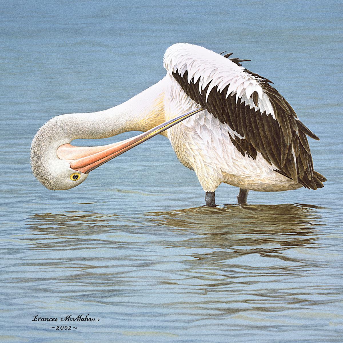 Those hard to get Places - Pelican (Square) - Puzzles Qld Pty Ltd